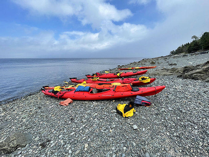 Kayaks rest on the shore like colorful candies, waiting to deliver equal parts adventure and upper body workout on Frenchman Bay.