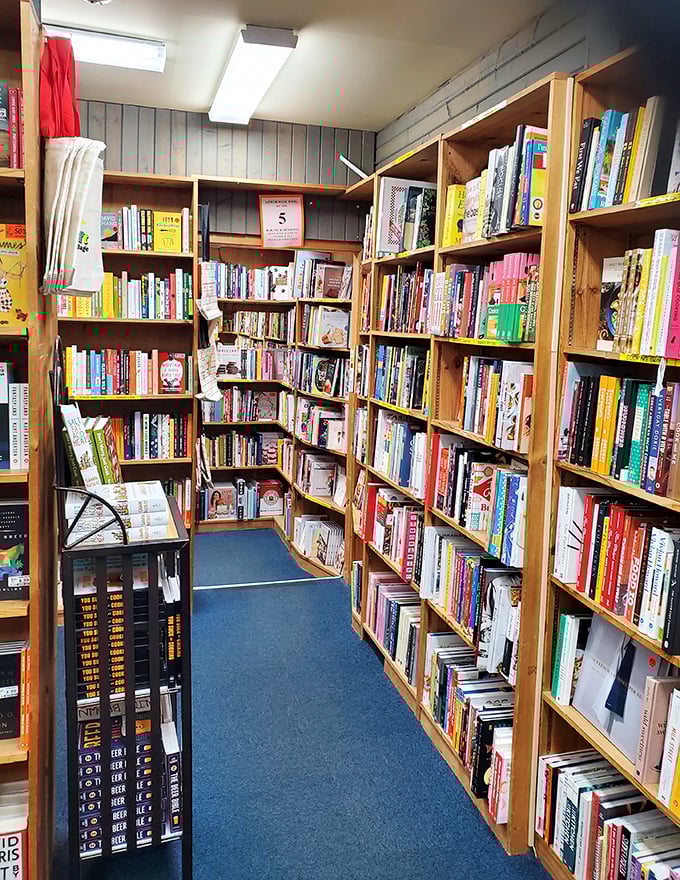 Cookbooks stacked with care&mdash;each one promising to transform your Tuesday night dinner into something worthy of a weekend celebration.