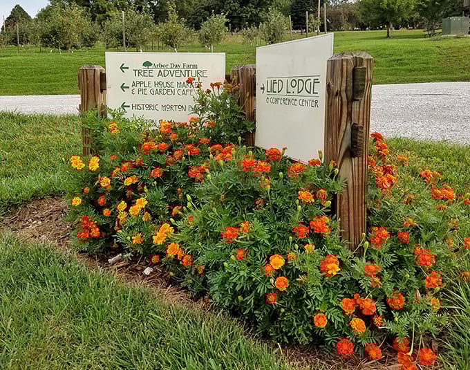 Colorful signage blooming with possibilities. This garden of information points the way while giving butterflies something to admire.