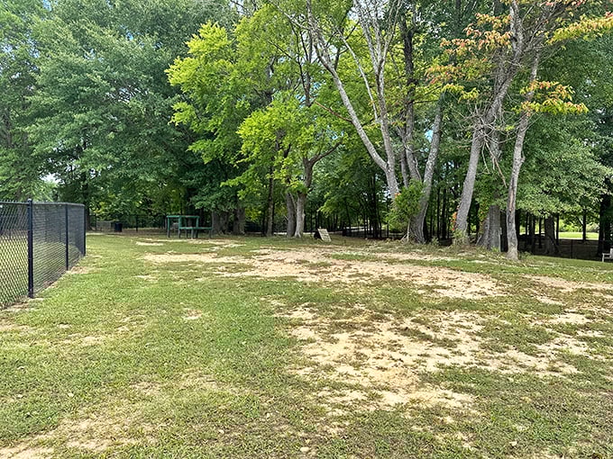 The dog park's open spaces offer freedom for four-legged friends and therapy for their humans. Nothing solves life's problems like watching puppies play.