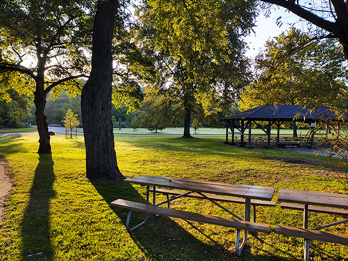 Ellison Park's golden hour transforms ordinary picnic tables into magical dining spots where even a sandwich tastes like a gourmet meal.