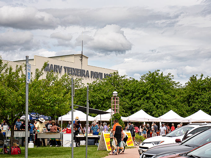 The farmers market transforms ordinary parking lots into community gathering spaces where local produce becomes the star of weekend shopping adventures.