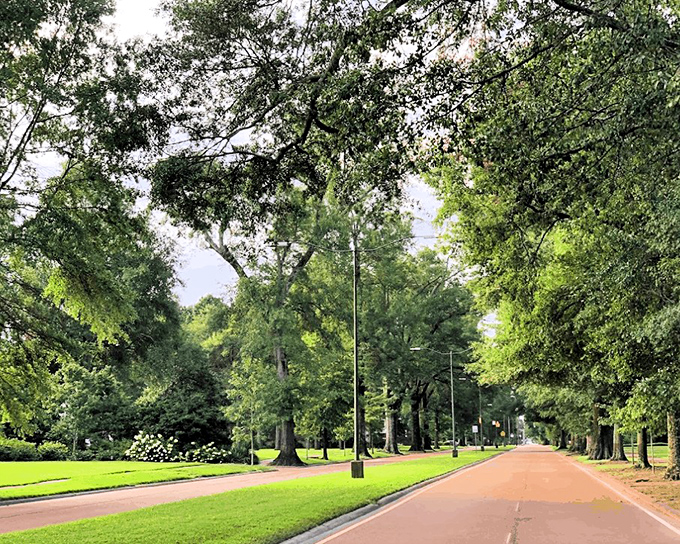 Grand Boulevard's tree-lined path provides shade and beauty, nature's version of a luxury resort corridor without the resort price tag.
