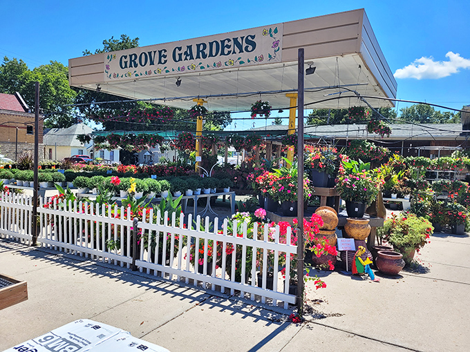 A riot of color and fragrance! Grove Gardens offers everything you need to bring a touch of Kansas beauty to your own backyard.