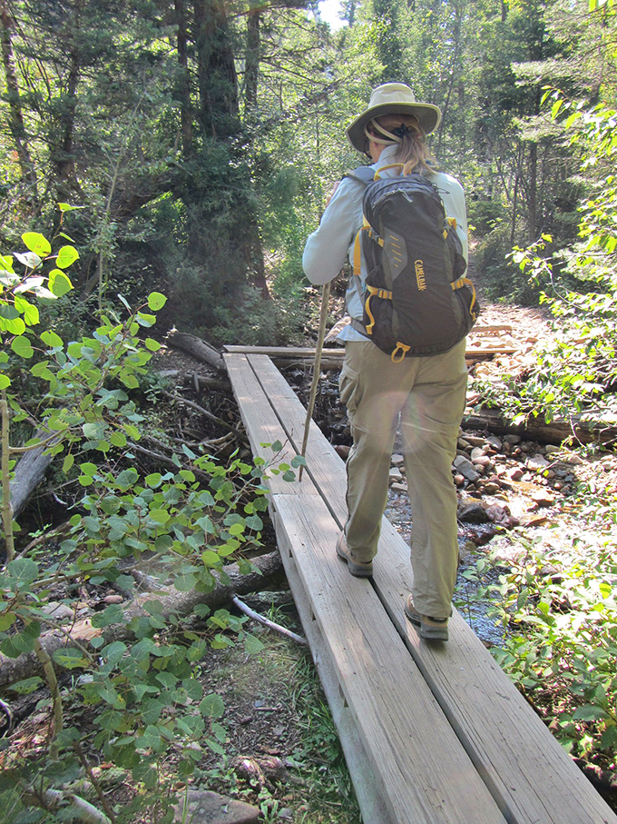 Crossing this simple wooden bridge feels like stepping into a scene from "A River Runs Through It" &ndash; minus Brad Pitt, but with all the magic.