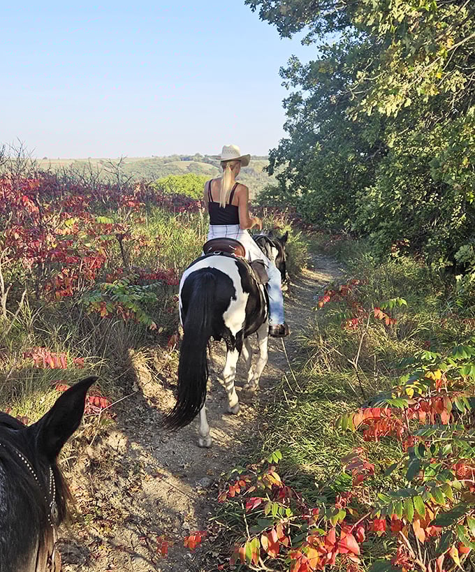 Horseback riding through autumn's fiery display feels like galloping through a living painting. The trail beckons riders into nature's embrace.