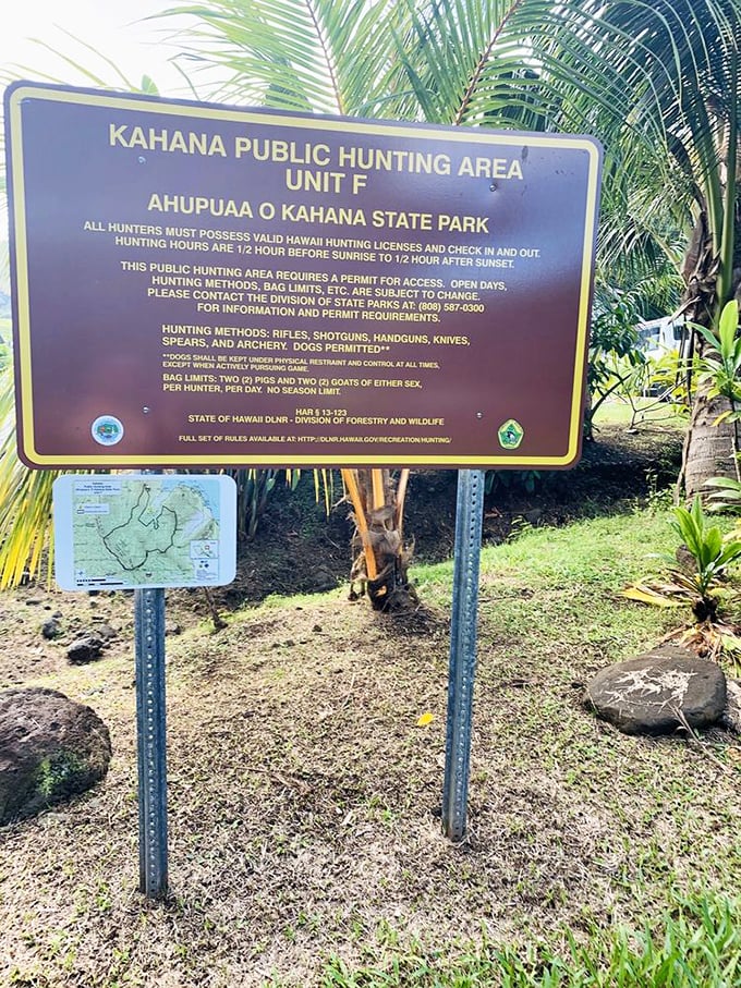 Even paradise needs management. This hunting area balances conservation with Hawaiian traditions that stretch back centuries.