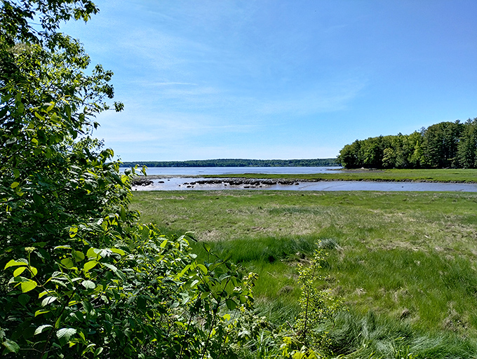 Great Bay's marshlands offer a front-row seat to nature's daily performance &ndash; no tickets required, though binoculars are highly recommended for the bird cameos.