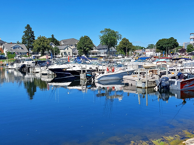 The municipal marina showcases boats of all sizes bobbing gently in the water, a floating neighborhood where everyone has waterfront property.
