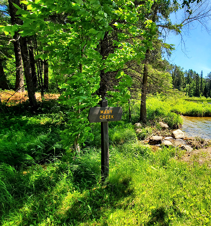 Mary Creek quietly flows beneath its namesake sign—one of countless waterways that make Itasca a liquid labyrinth worth exploring.