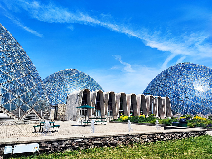 The Mitchell Park Domes create otherworldly environments under glass &ndash; like stepping into three different planets without leaving Wisconsin.