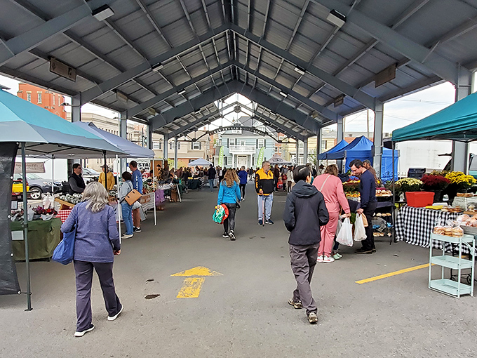 The Morgantown Farmers Market buzzes with local energy, where the distance between farm and table is measured in conversations, not miles.