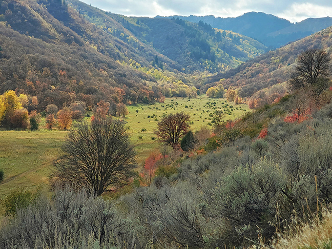 Fall colors paint Wellsville's valleys like nature's own masterpiece, no admission fee required for this breathtaking gallery.