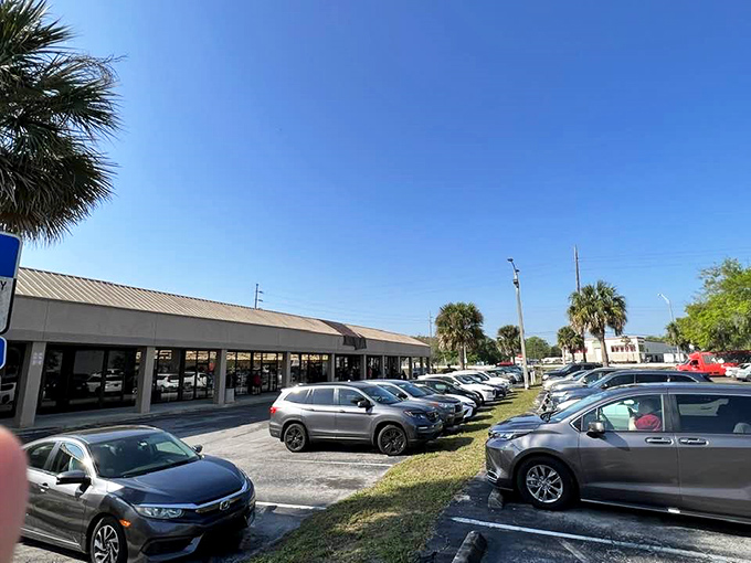 The parking lot fills early on weekend mornings, as savvy shoppers arrive armed with coffee and determination.