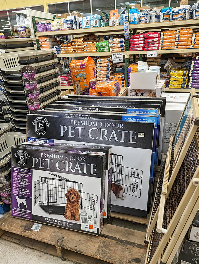 Pet parent heaven where four-legged family members get the royal treatment without the royal price tag.