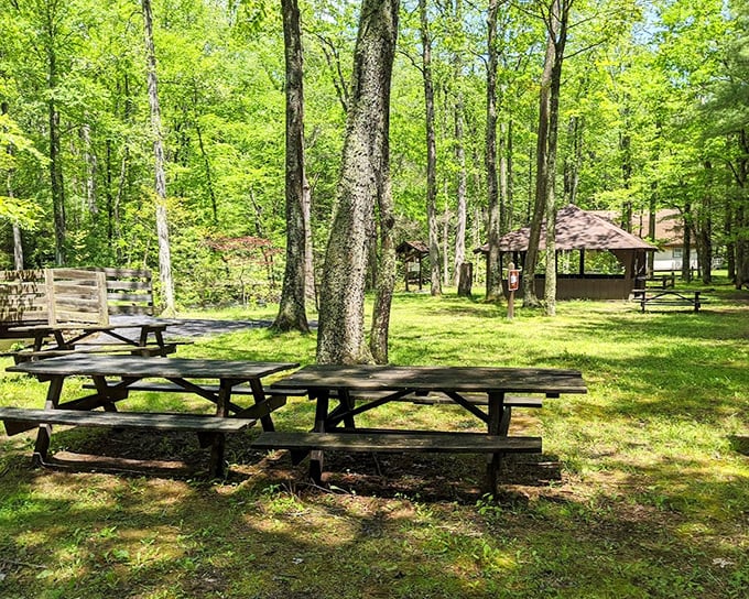 These weathered picnic tables have hosted everything from birthday cakes to engagement celebrations. Wood polished smooth by generations of elbows and memories.