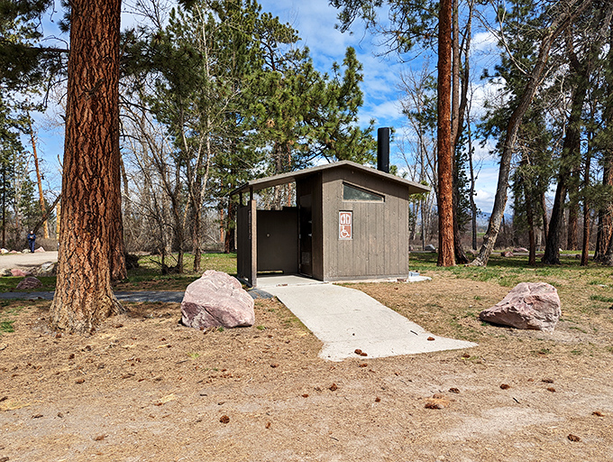 Even in wilderness, civilization offers its comforts. This little structure has saved more outdoor adventures than anyone cares to admit.