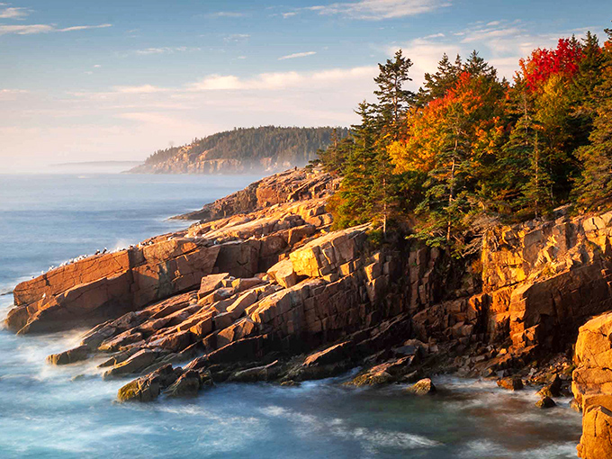 These coastal cliffs have been perfecting their dramatic poses since before Instagram influencers were even a concept.