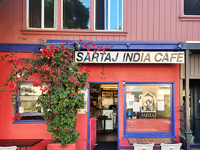 Sartaj India Cafe's vibrant facade and climbing flowers hint at the bold flavors waiting inside this local favorite.