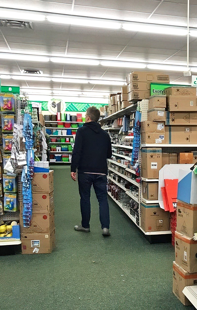The natural habitat of the dollar store explorer &ndash; navigating aisles of possibility with the focus of a seasoned treasure hunter.