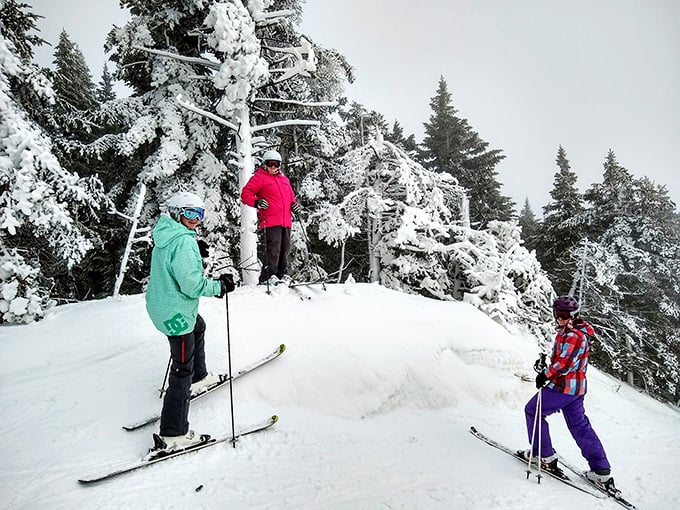 Snow day perfection! These skiers have discovered the joy of carving through powder while surrounded by snow-flocked evergreens.