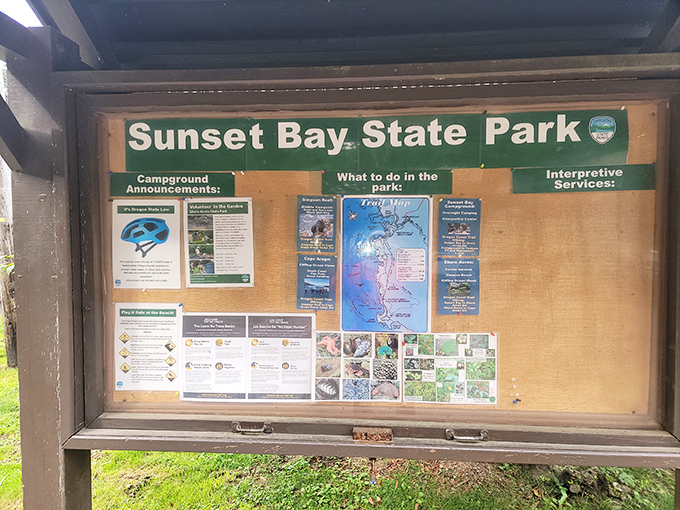 Information boards that actually tell you useful stuff instead of just warning you about obvious dangers.