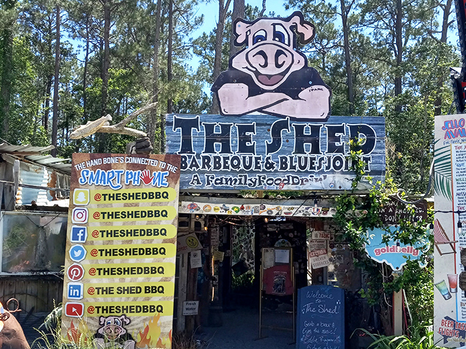 The Shed doesn't just serve barbecue—it delivers a religious experience with a side of blues. Calories don't count when they're this delicious.
