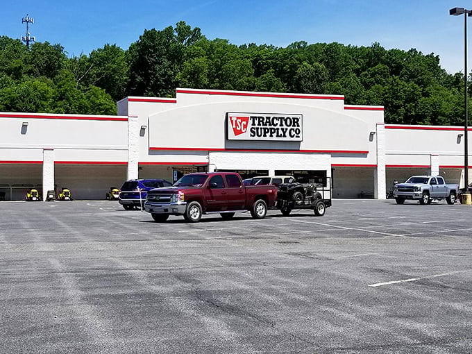 Tractor Supply Co. reminds visitors that Bluefield sits at the intersection of urban convenience and rural practicality, serving farmers and weekend gardeners alike.