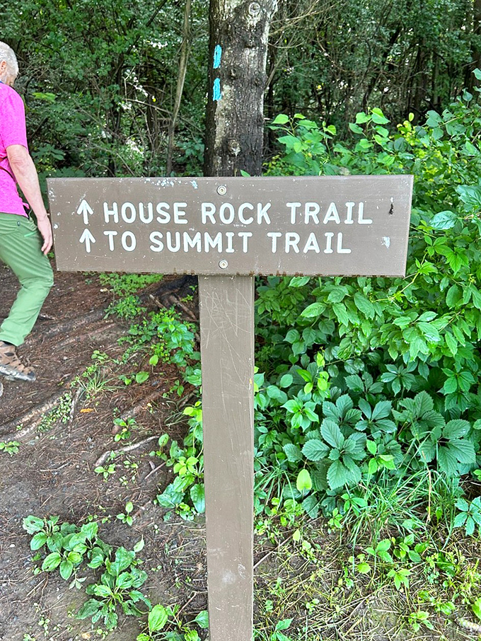 Trail signs: the original GPS system, but with better reliability and no annoying "recalculating" voice.