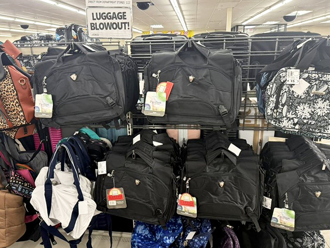 Luggage blowout indeed! These travel companions are ready for adventure without demanding a significant portion of your vacation budget.