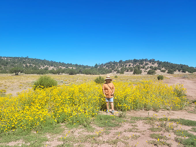 Spring's golden explosion transforms Bluewater's landscape, proving wildflowers throw better color parties than any paint company could imagine.