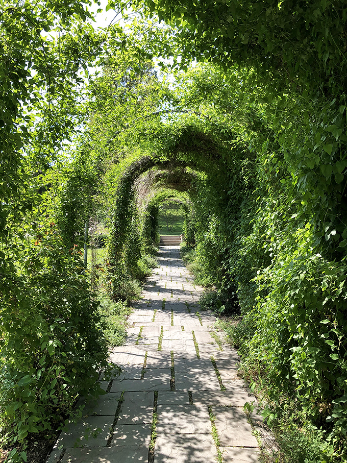 Nature's cathedral: this vine-covered archway leads somewhere magical. Walking through feels like entering the secret garden you dreamed about as a child.