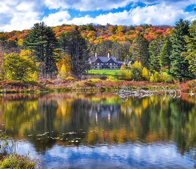 Autumn's palette explodes across the landscape. Nature's most spectacular art show happens annually, no tickets required – just bring your sense of wonder.
