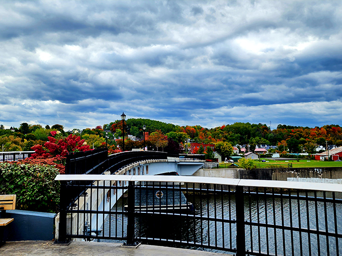 Fall foliage frames Amsterdam's waterways in Technicolor splendor—a seasonal show that doesn't require tickets, just appreciation and maybe a light jacket.