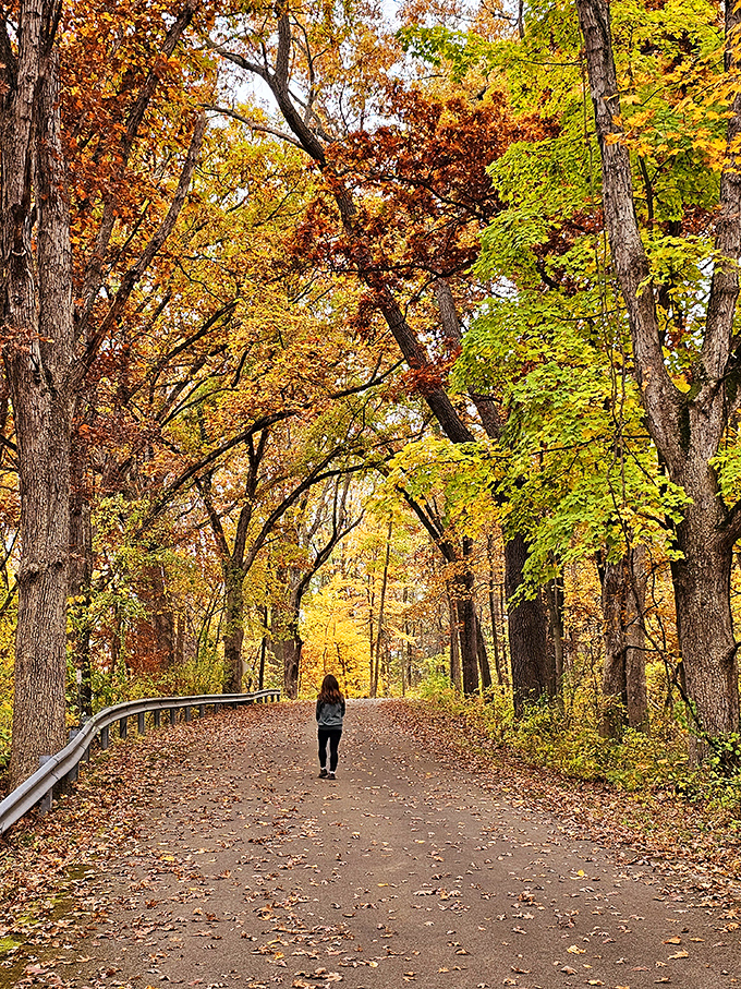 Fall's fashion show is in full swing, with every tree competing for "Best Dressed." This walker has found the catwalk where autumn struts its stuff.