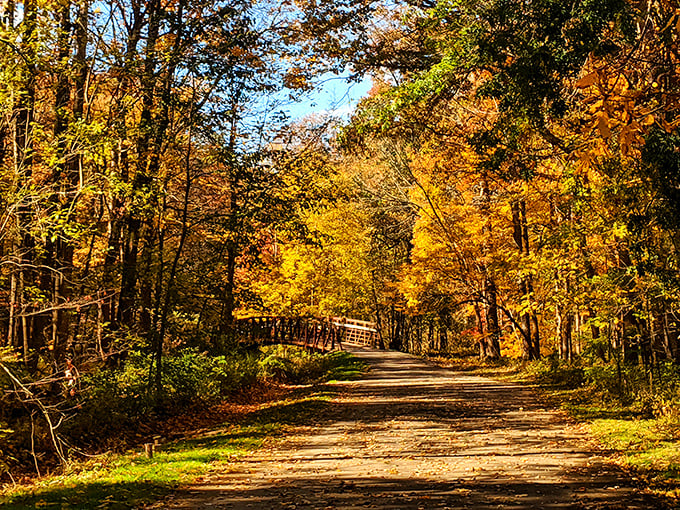 Autumn in Mill Creek Park paints the perfect backdrop for contemplative walks, where falling leaves remind you that change can be spectacularly beautiful.