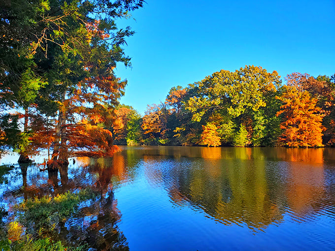 Fall foliage reflects in still waters, nature's way of showing off by doing everything twice as beautifully.