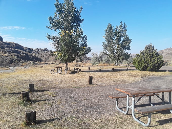 Camping spots that come with a side of time travel. These simple sites offer million-year-old views that no resort could possibly match.