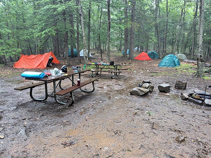 Wilderness real estate with million-star accommodations. These campsites offer more authentic outdoor experiences than any glamping resort.