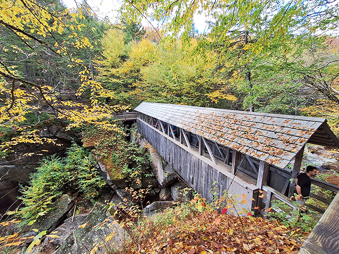 Not just a bridge, but a time portal. Step inside and suddenly you're in a world where "notification" meant someone actually knocking on your door.