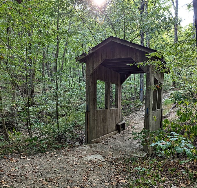 Not all treasures are hidden—some, like this charming covered bridge, sit in plain sight waiting for you to discover them.