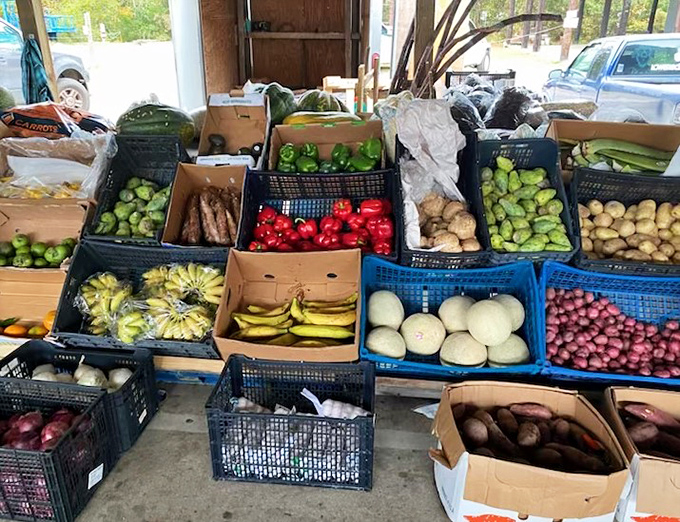Nature's color palette on display—these produce crates offer a rainbow of nutrition that makes grocery store offerings seem positively bland by comparison.