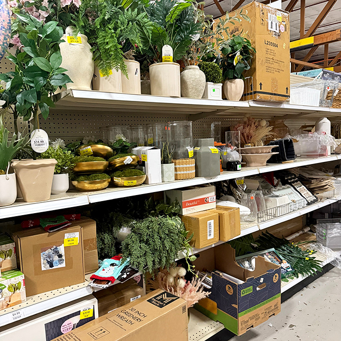 From artificial plants to stylish vases, these home accents wait patiently to become the conversation pieces in your living room.