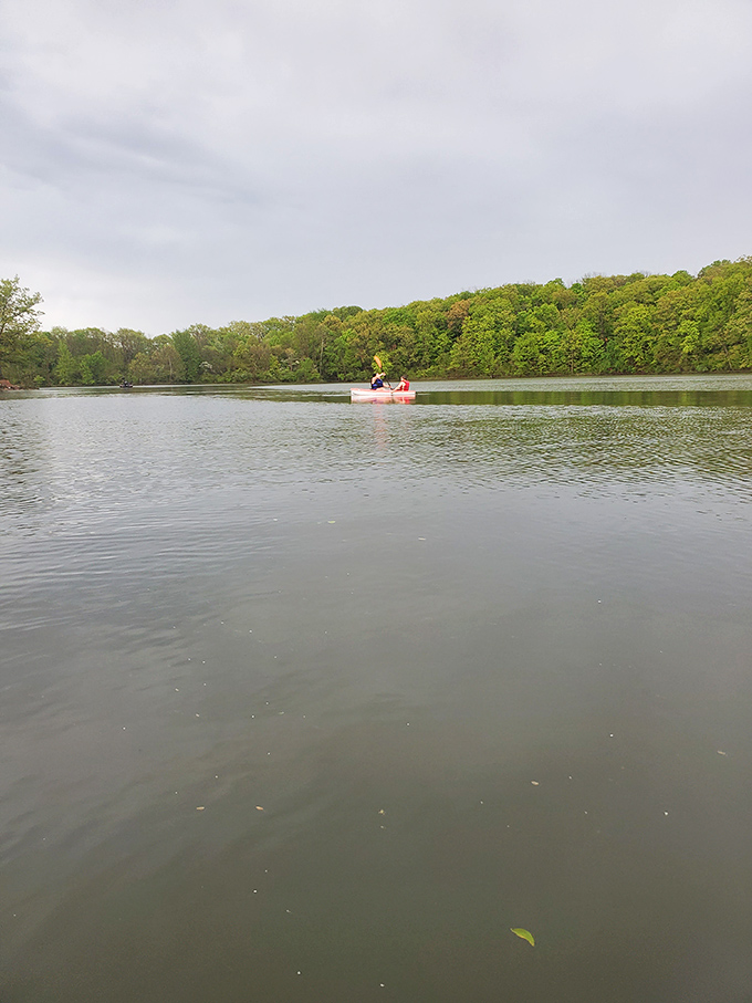 Kayaking across Hargus Lake's glassy surface feels like floating through a living postcard. Social media filters not required.