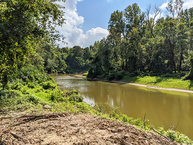 Nature carves its own quiet path through Metropolis, creating peaceful retreats just minutes from Superman Square.