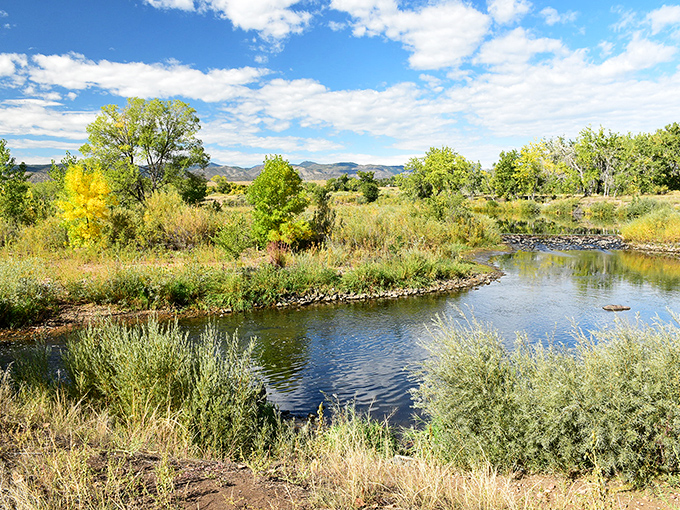 The gentle curve of Littleton's waterways creates natural vignettes that change with the seasons, each worthy of a painter's careful attention.