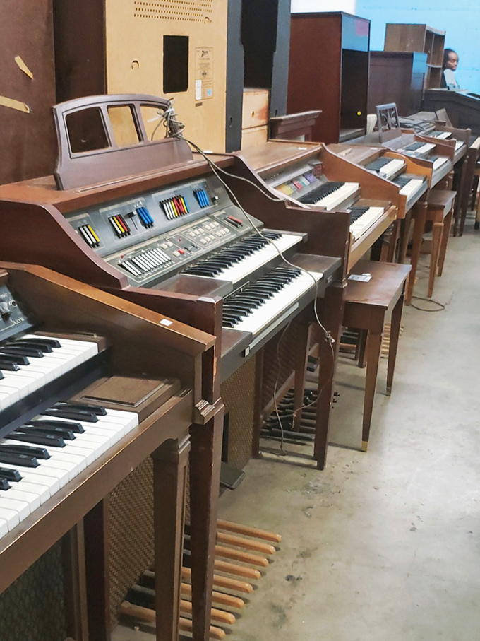 A keyboard lineup that could start its own orchestra. These pianos have stories in their keys just waiting for new fingers to discover.