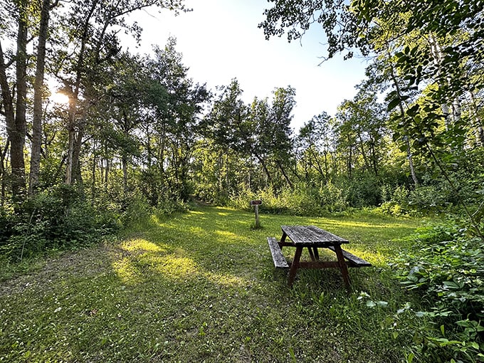 The most exclusive dining room in North Dakota—reservations not required, but bringing your own food definitely is.