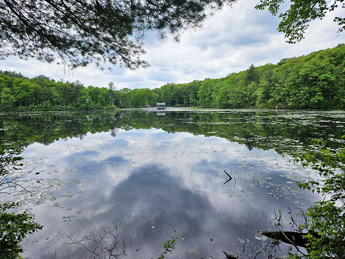 A pond so serene it looks Photoshopped. The clouds get a second chance to admire themselves in nature's mirror.