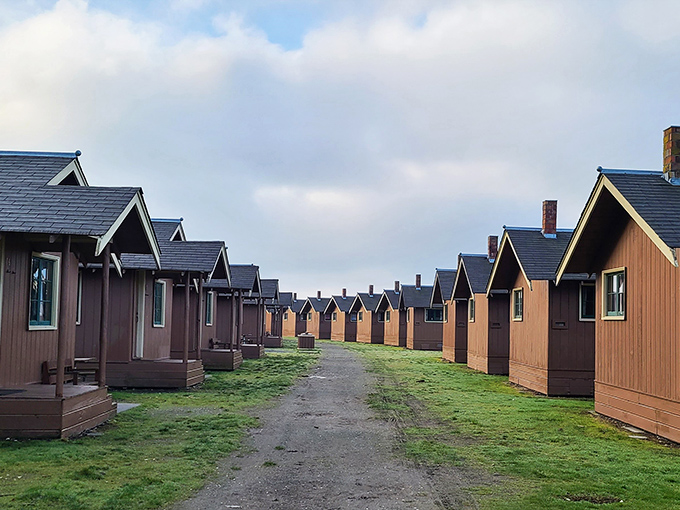 Rustic cabins lined up like a neighborhood where pine-scented air replaces car exhaust and stars outshine streetlights every single night.